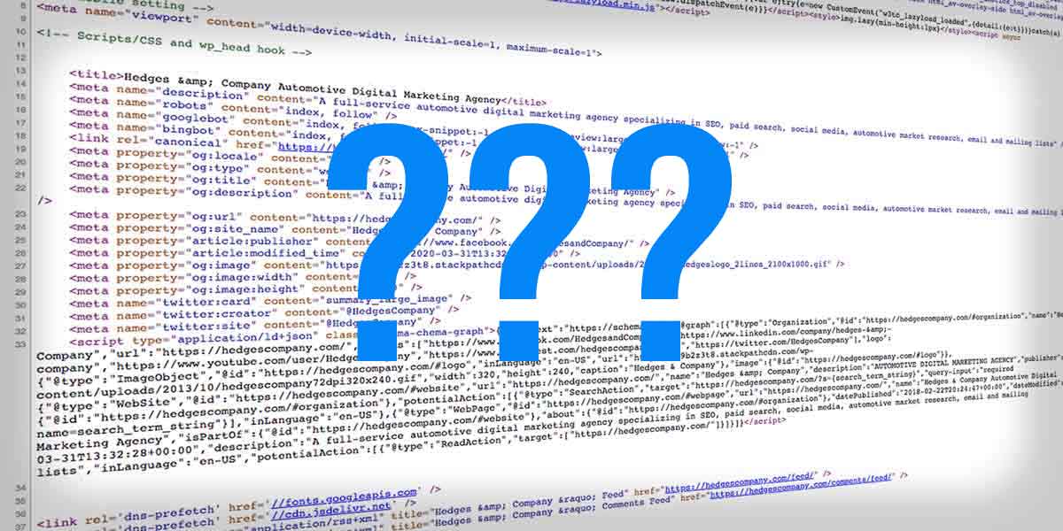 What Questions Should You Ask a Web Developer?